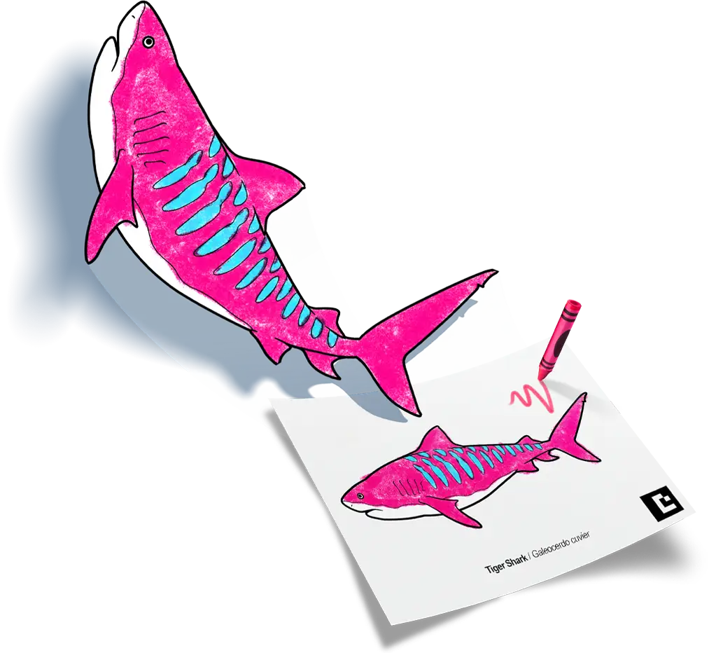 Virtual Coloring Aquarium - Sketch Tank Exhibit Kit